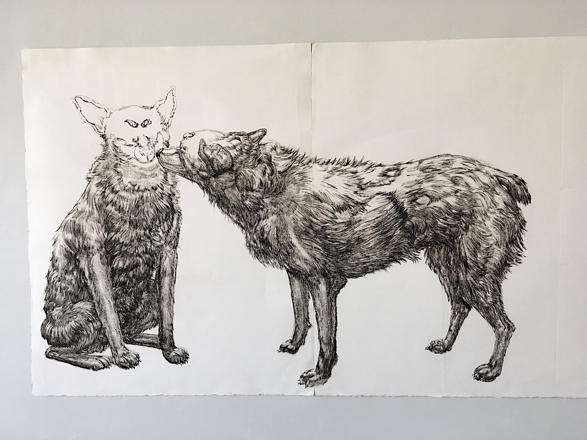 Karen Kunc | Constellation Studios